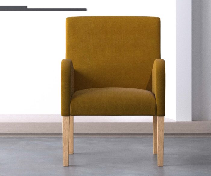 Zeol Lounge Armchair | Health & Aged Care Furniture | FHG
