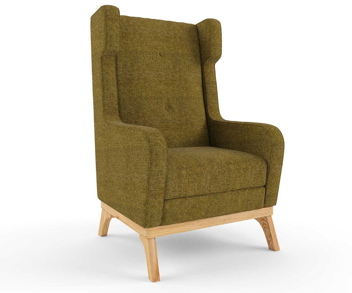 Petros Wing Back Armchair | Health & Aged Care Furniture | FHG
