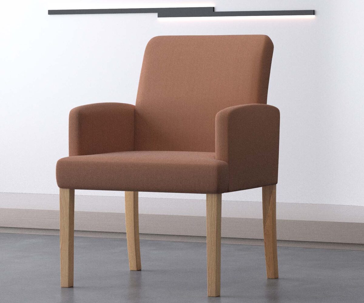 Zeol Lounge Armchair | Health & Aged Care Furniture | FHG