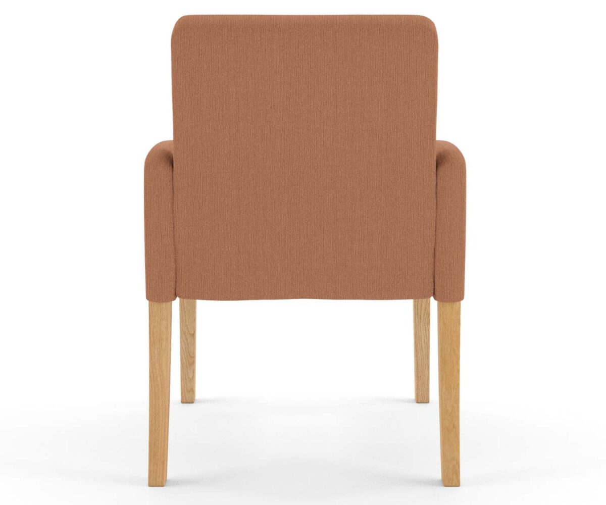 Zeol Lounge Armchair | Health & Aged Care Furniture | FHG