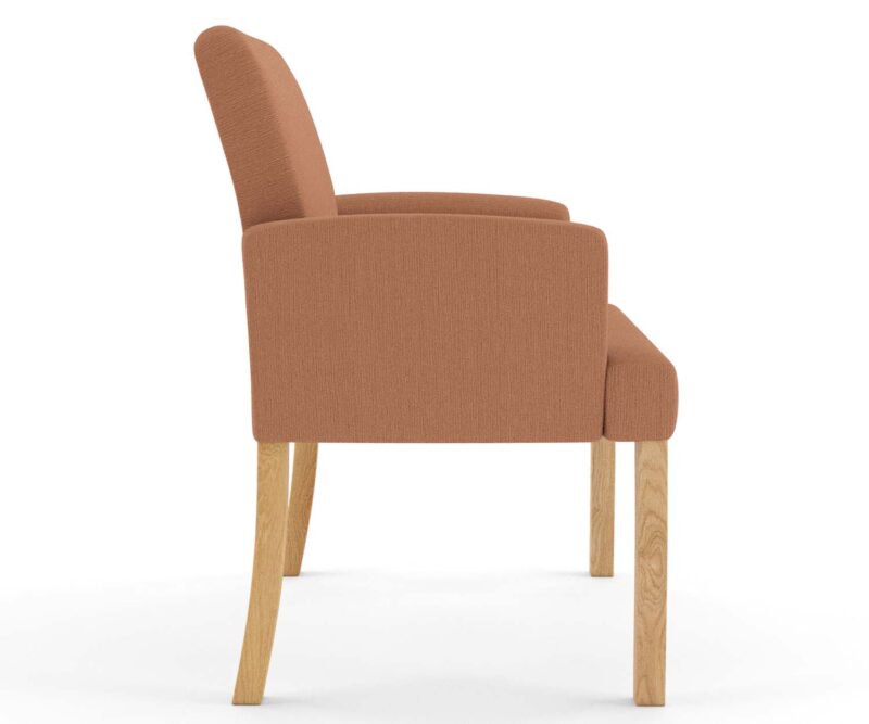Zeol Lounge Armchair | Health & Aged Care Furniture | FHG