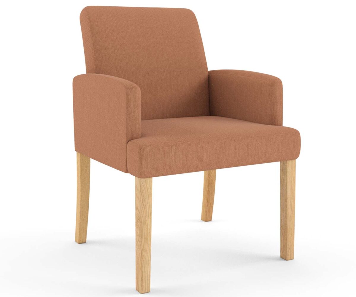 Zeol Lounge Armchair | Health & Aged Care Furniture | FHG