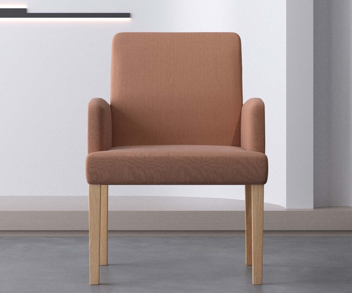 Zeol Lounge Armchair | Health & Aged Care Furniture | FHG