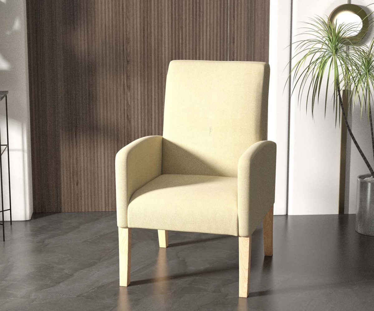 Vie High Back Armchair | Health & Aged Care Furniture | FHG