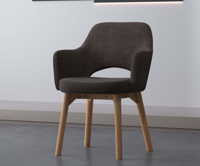 Zeol Lounge Armchair | Health & Aged Care Furniture | FHG